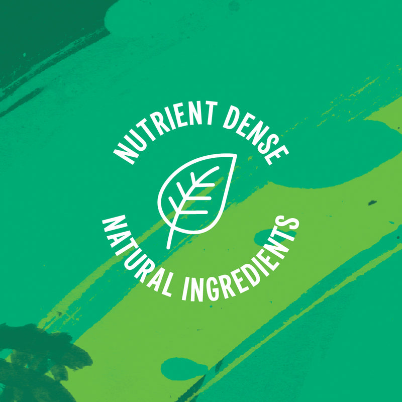 Organic Vegan Protein Powder | Vivo Life – Vivo Life USA