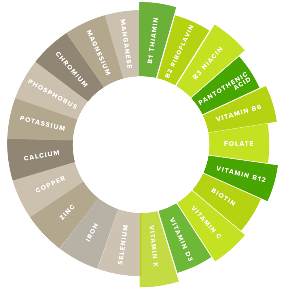 Vegan Meal Replacement | Plant Based Nutritional Shake | Vivo Life ...